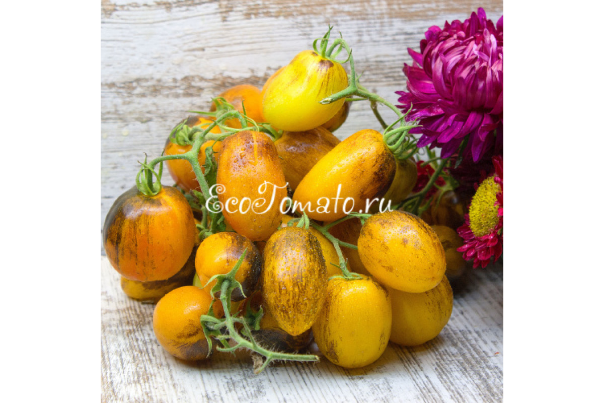 Atomic sunset (Атомный Закат)