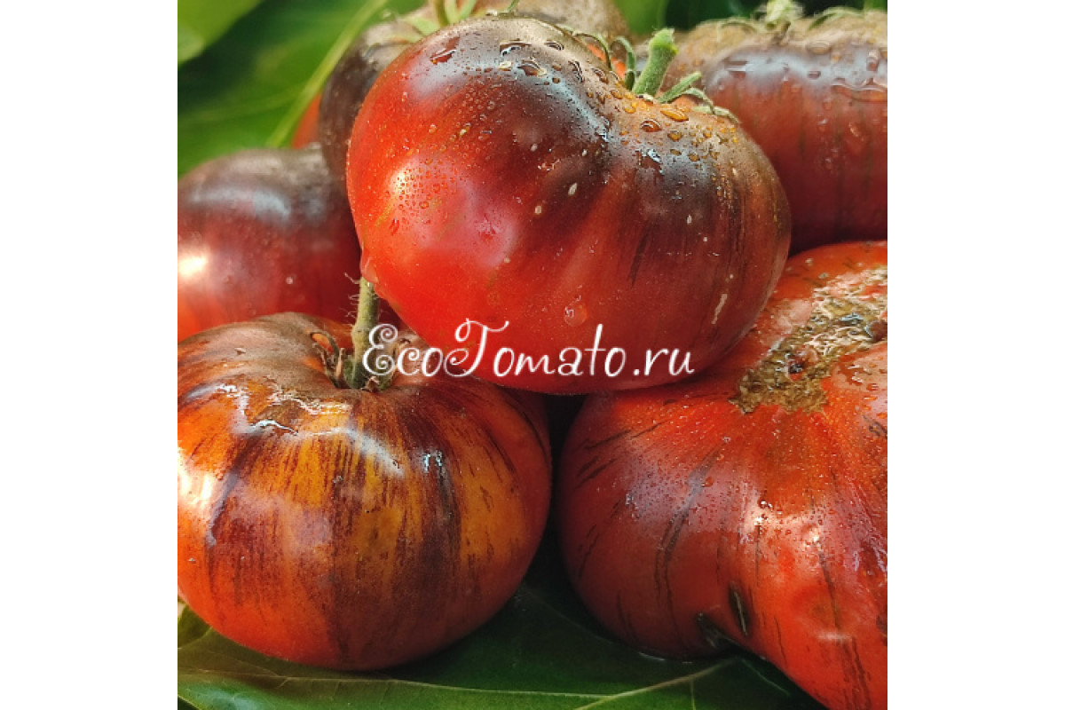 Dwarf Rebel Starfinger Dippers Delight (Дварф Звездный истребитель ...