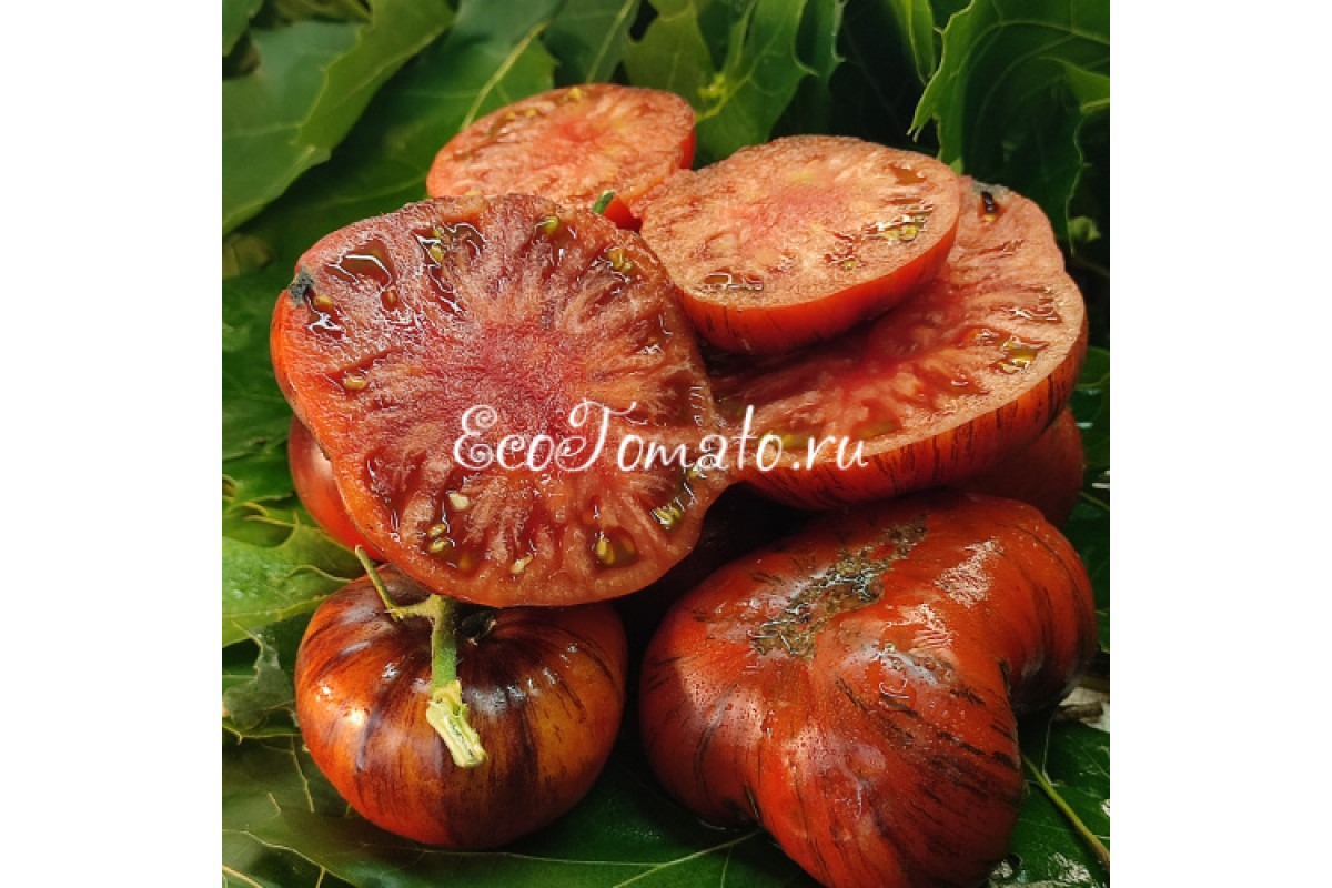 Dwarf Rebel Starfinger Dippers Delight (Дварф Звездный истребитель ...