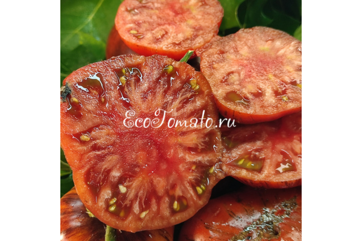 Dwarf Rebel Starfinger Dippers Delight (Дварф Звездный истребитель ...