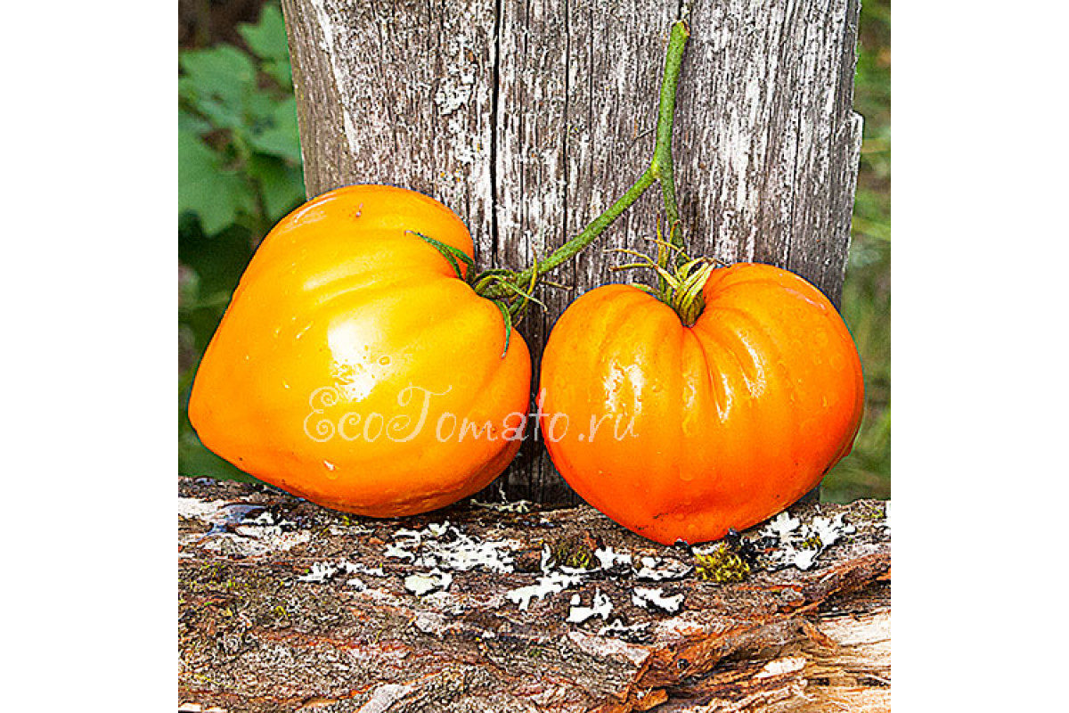 Orange Strawberry