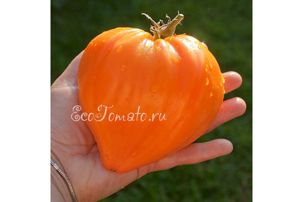 Orange Strawberry