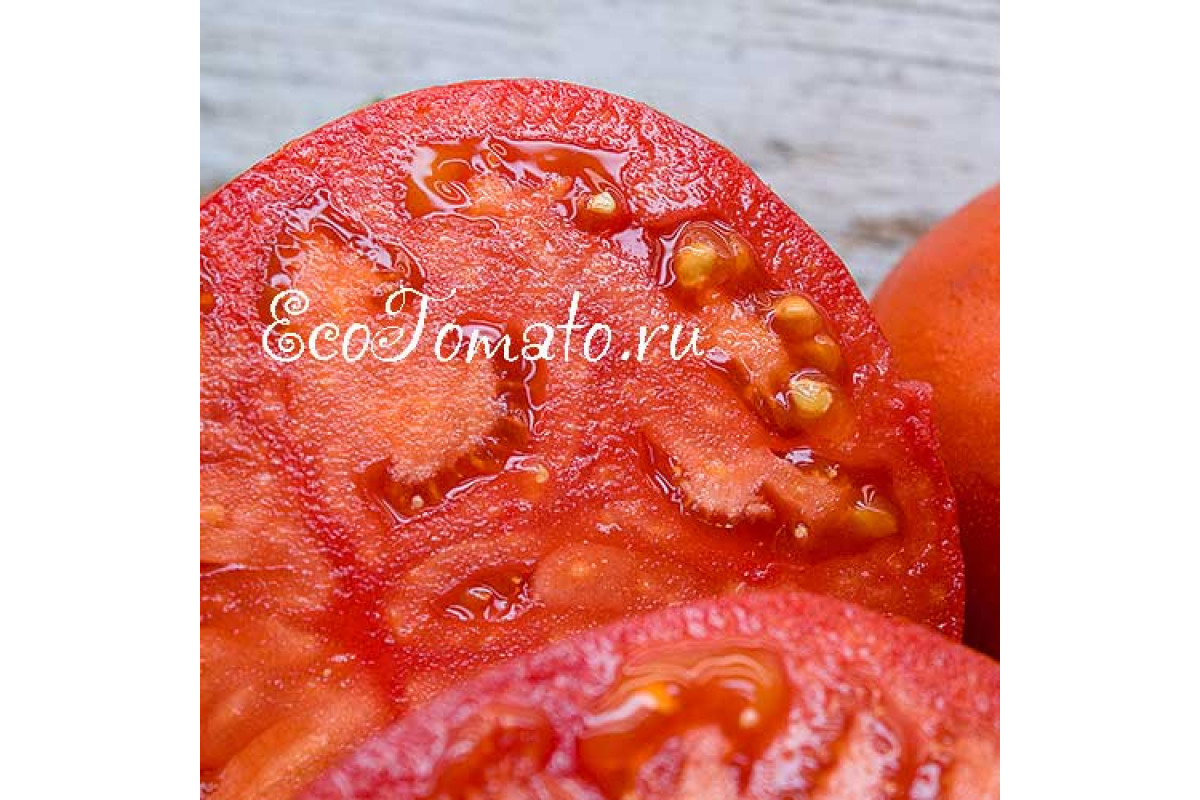 Minusinskie Shari red